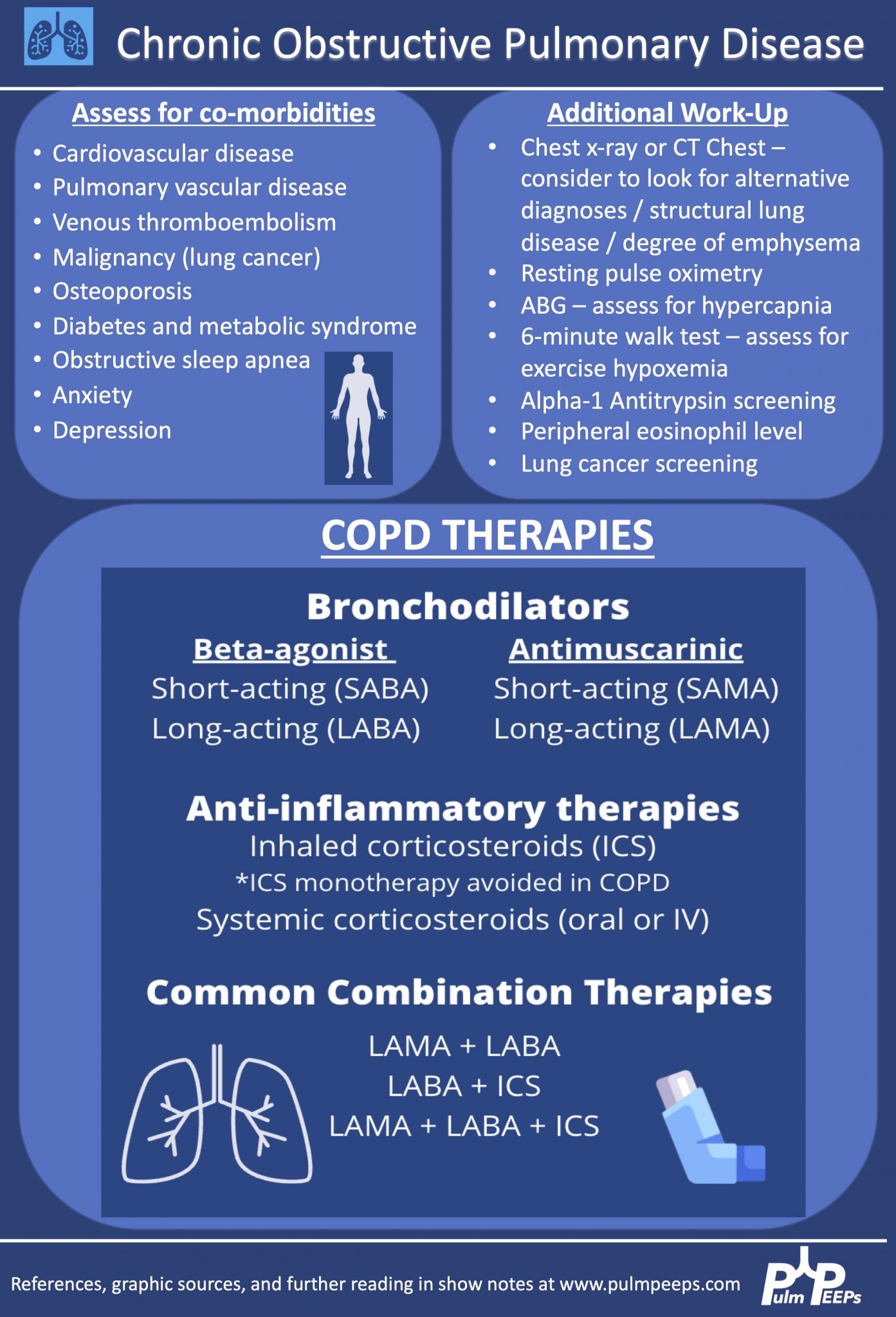 13. COPD Classification and Practical Management Strategies | PulmPEEPs