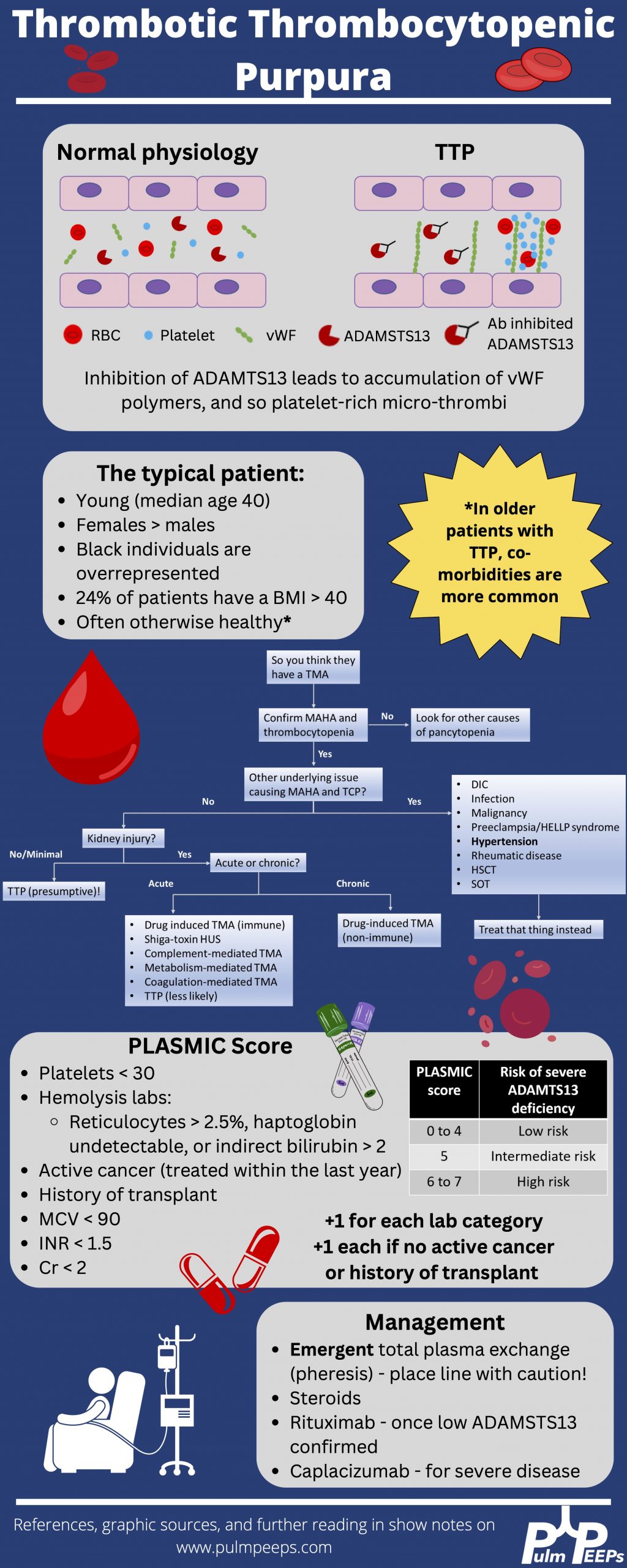 Thrombotic thrombocytopenic purpura | PulmPEEPs
