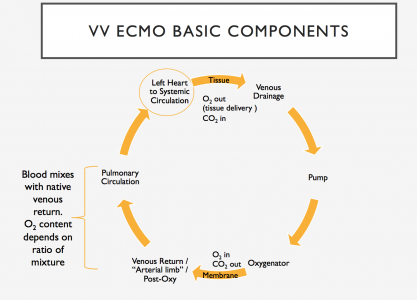 ECMO | PulmPEEPs