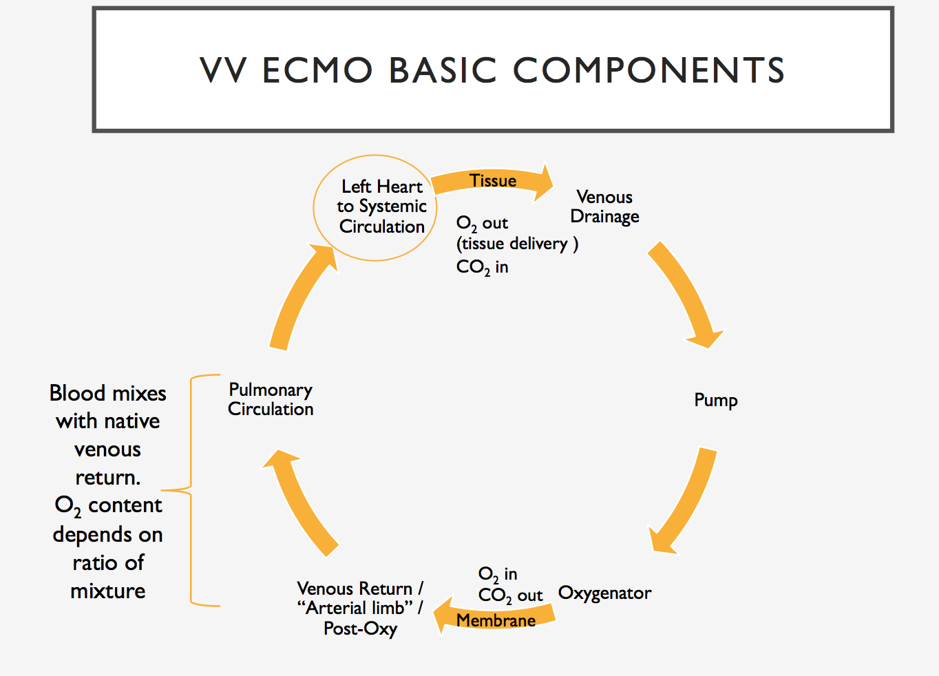 ECMO | PulmPEEPs