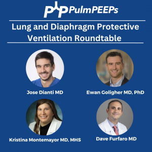 33. Lung and Diaphragm Protective Ventilation Roundtable | PulmPEEPs