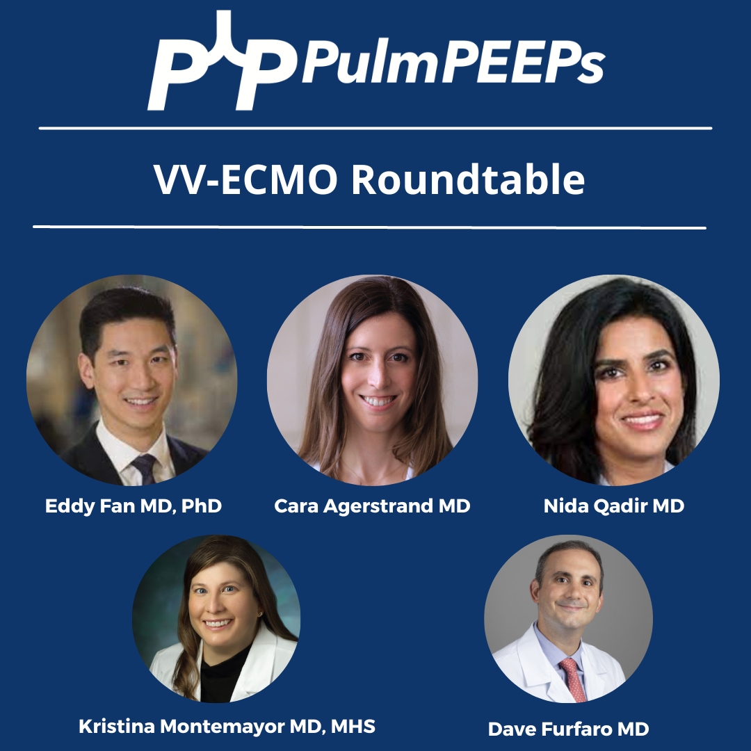 ECMO | PulmPEEPs